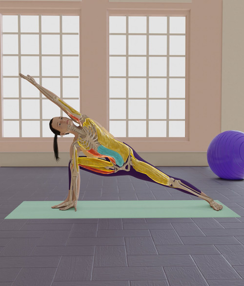 Knee Varus: Understanding Bow-Leggedness and Its Impact on Training
