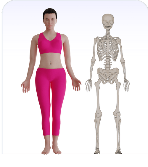 FlexiTrace Posture Analysis