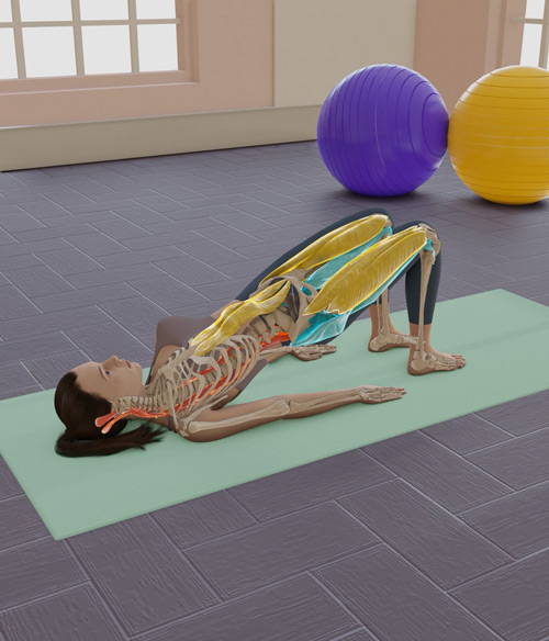 Uneven Shoulder Posture Analysis